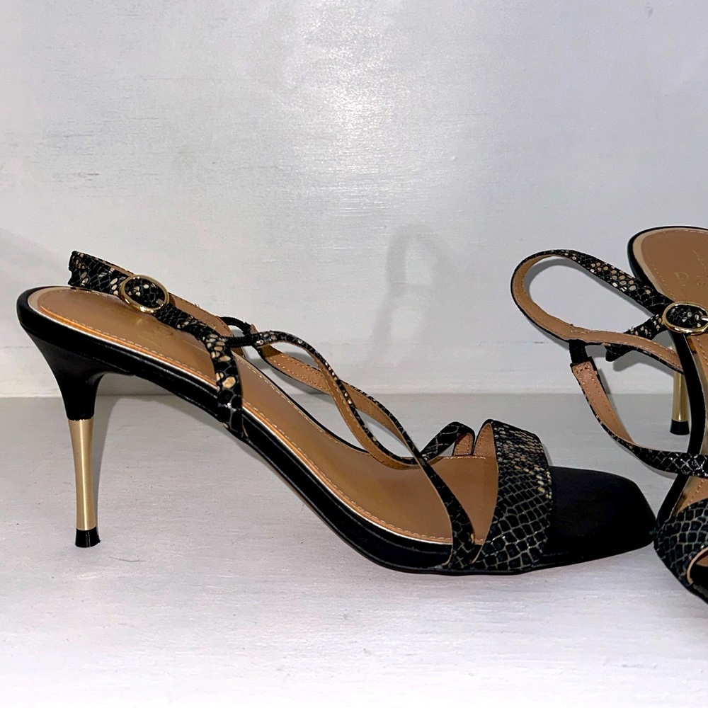 Linea Paolo - Black, Gold, Snakeskin Kitten Heels - Gem